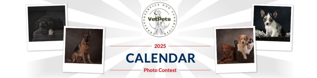 Pin-up pooches: Pet photo calendar contest to benefit VetPets - Herald ...